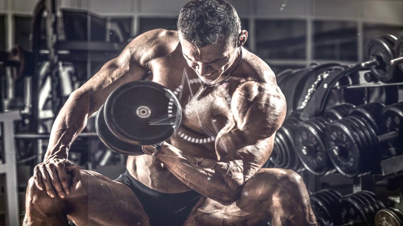ZXZX MOTIVATION GYM | MUSIC EVOLUTION 2.0 - YouTube