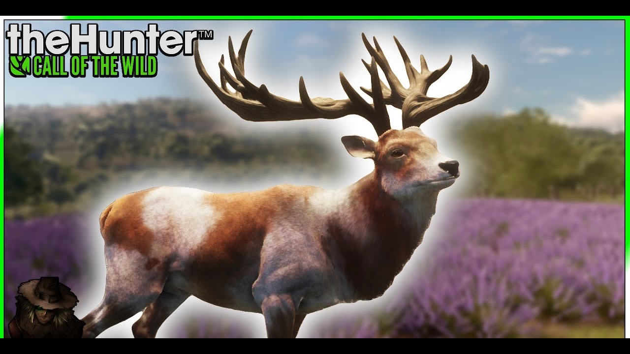 Massive 8-Legendary Piebald Red deer |theHunter: Call of the wild - YouTube