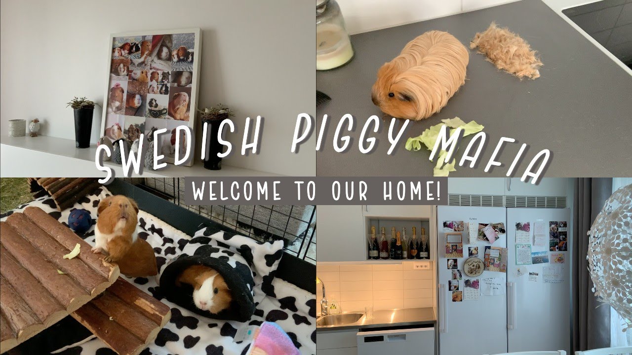 Welcome to our home! - YouTube