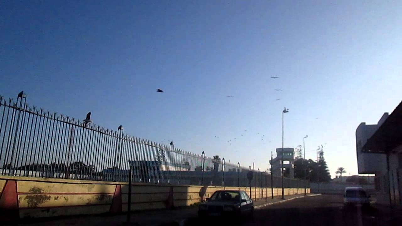 port mohammedia - YouTube