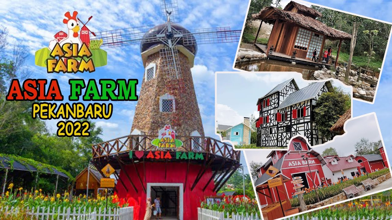 Asia Farm Hayday: Agrowisata Edukatif dan Instagramable di Pekanbaru ...