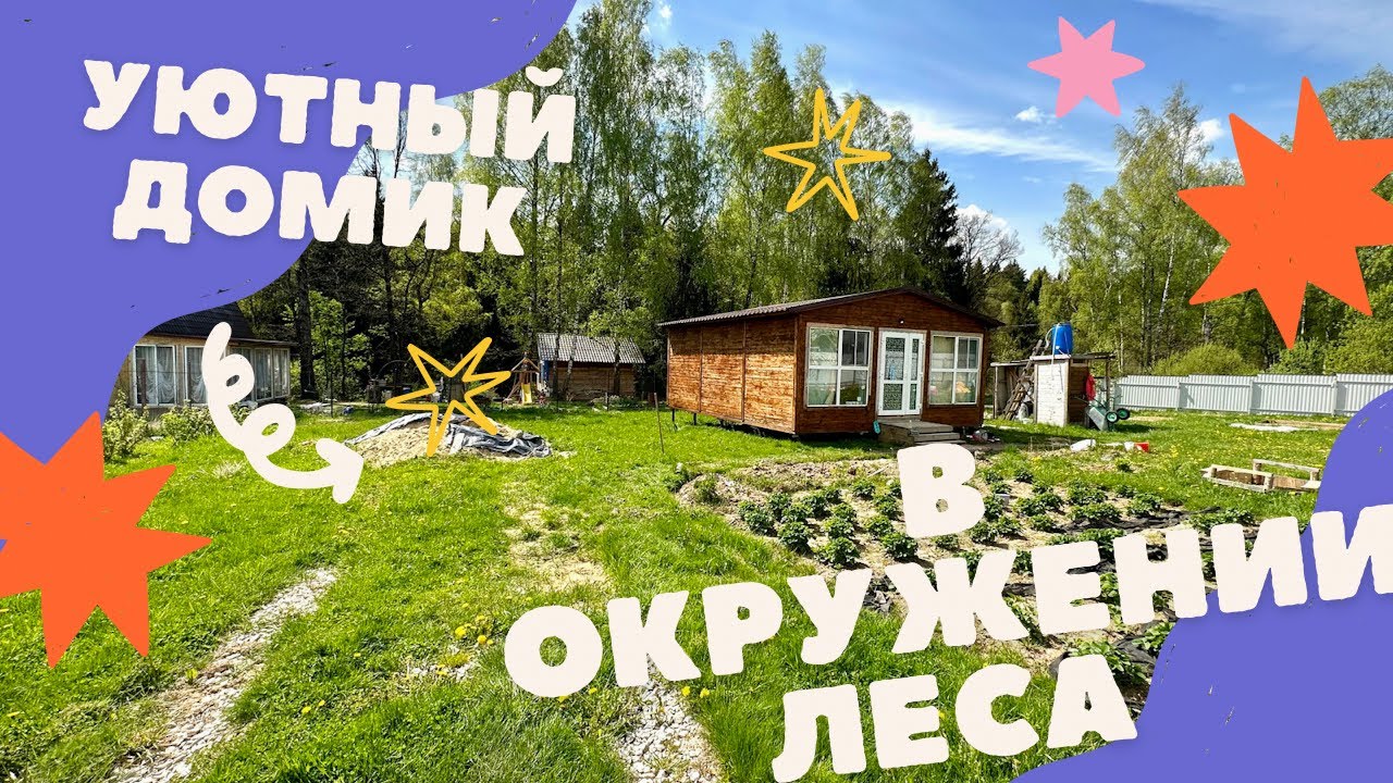 Уютный домик в окружении леса Youtube