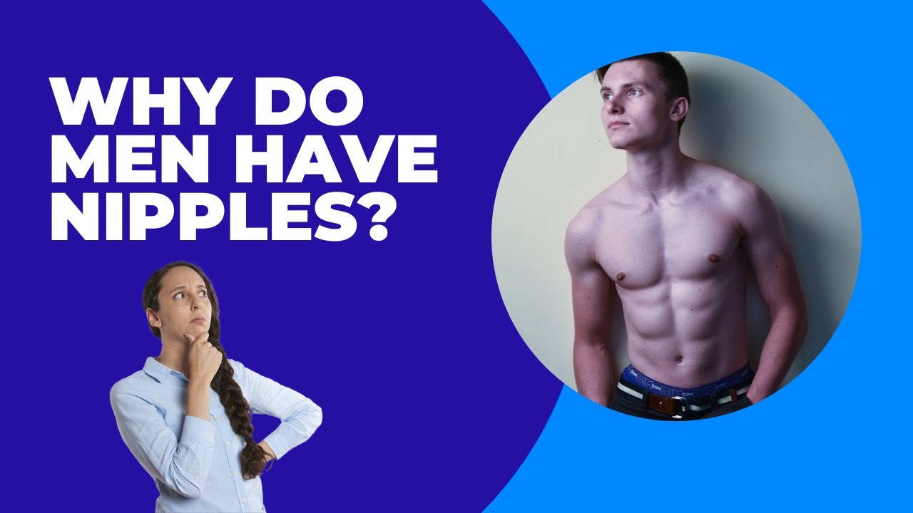 Why Do Men Have Nipples? Do They Really Need Them? - YouTube