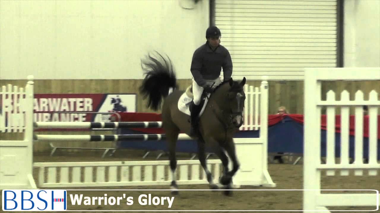 The British Stallion Event 2015 - Show Jumping Stallions - YouTube