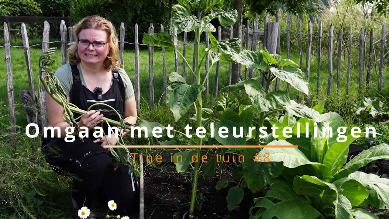 Omgaan met teleurstellingen - Tine in de Tuin #9 - YouTube