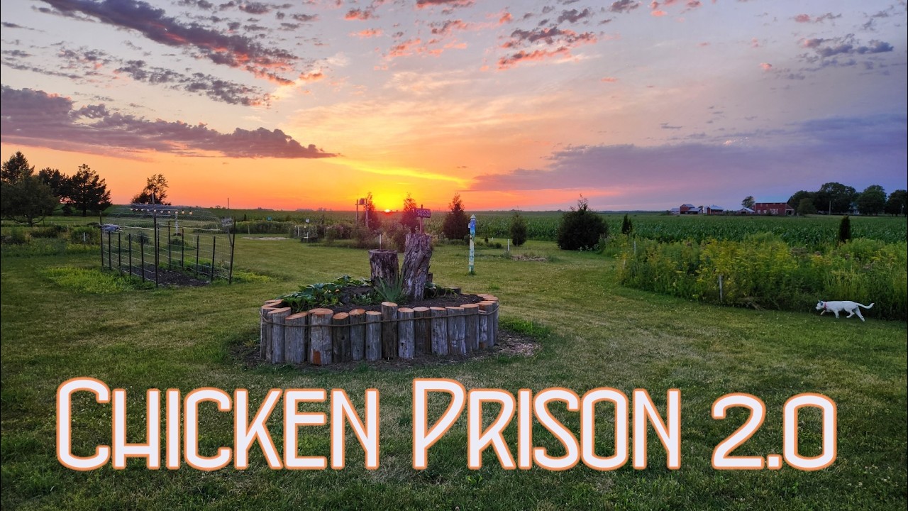 Chicken Prison 2.0 - YouTube