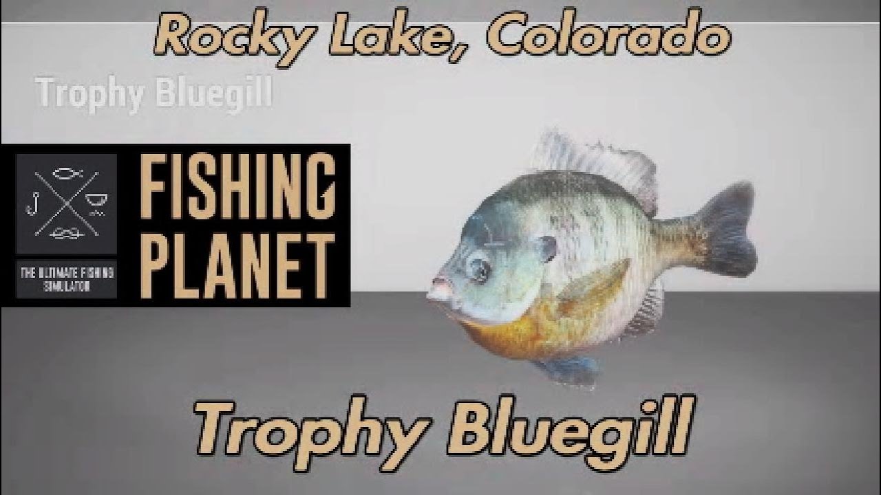 Trophy Bluegill Rocky Lake Colorado Fishing Planet Guide - YouTube