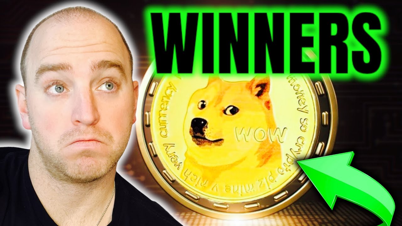 DOGECOIN - HOLDERS CAN COUNT ON THE DOGE WINNERS! - YouTube