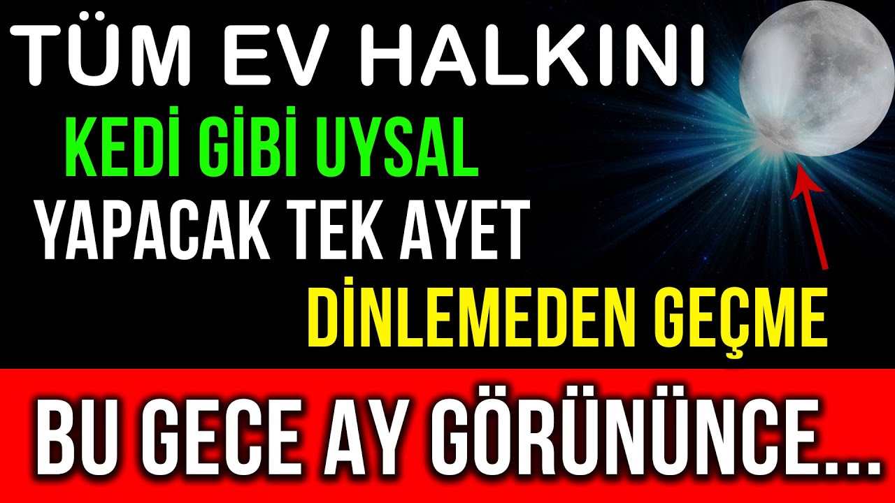 TÜM EV HALKINI KEDİ GİBİ UYSAL YAPACAK TEK AYET ! DİNLEMEDEN GEÇME...BU ...
