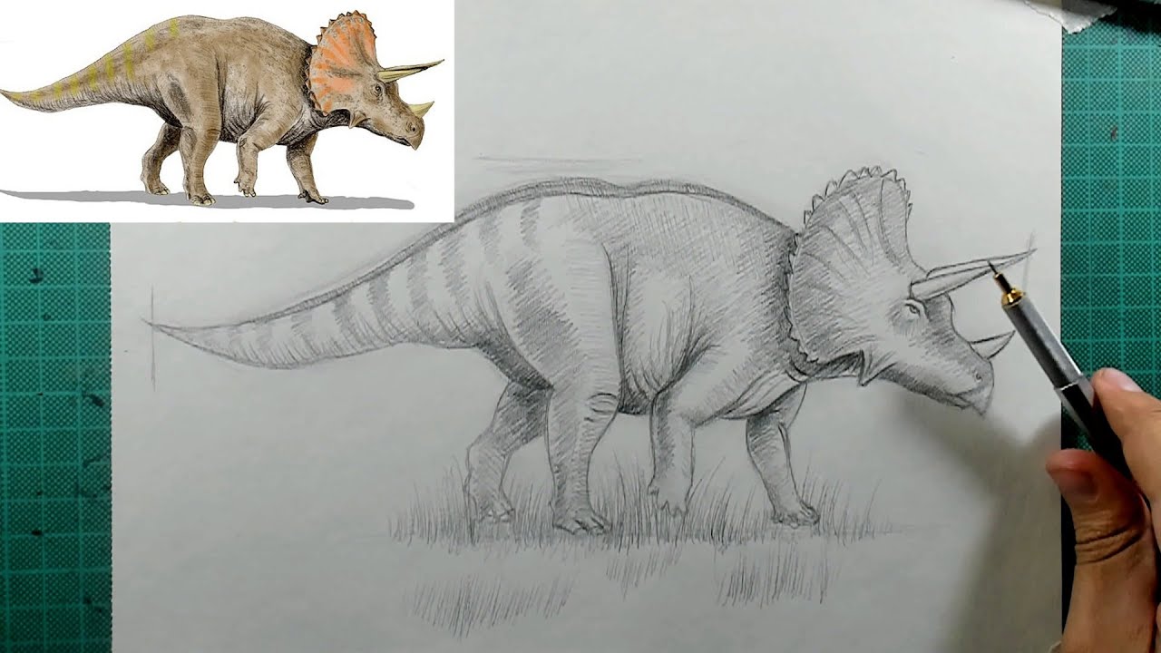 Cómo Dibujo un BOCETO Desde CERO a Lápiz Paso a Paso - Triceratops ...
