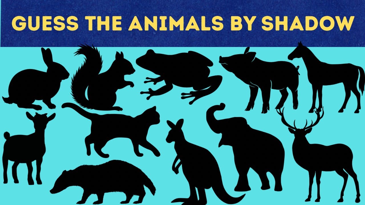 Guess the Animals by Shadow | Fun Learning Game for kids - YouTube