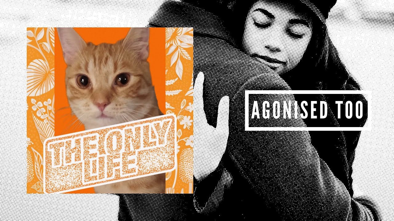 Agonised Too - The Only Life (Radio Edit) (Official Video) - YouTube