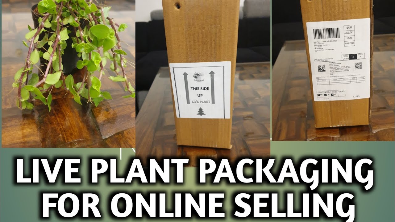 Live Plant packaging for Online Sellers #amazon seller #Flipkart Seller ...