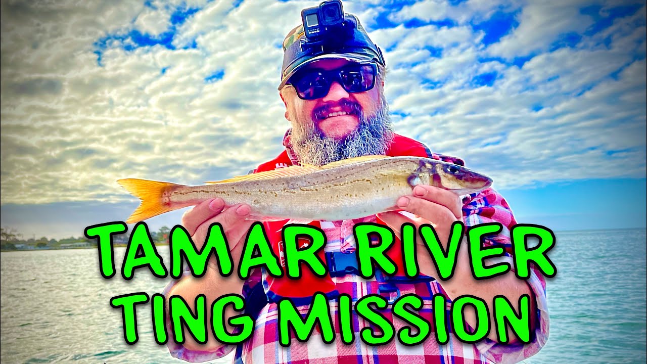 King George Whiting fishing in the Tamar River Tasmania - YouTube