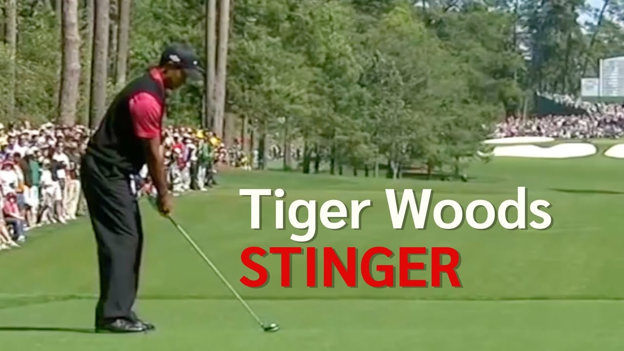Tiger Woods Stinger - YouTube