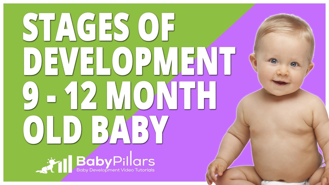 Stages Of Development In Babies And Infants 6 9 Month By BabyPillars stages-of-development-in-babies-and-infants-6-9-month-by-babypillars