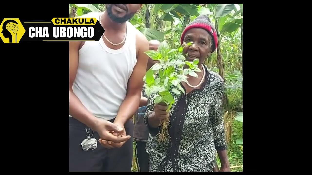 FAIDA ZA MMEA MSHONA NGUO KUTOKA KWA BIBI YETU! - YouTube