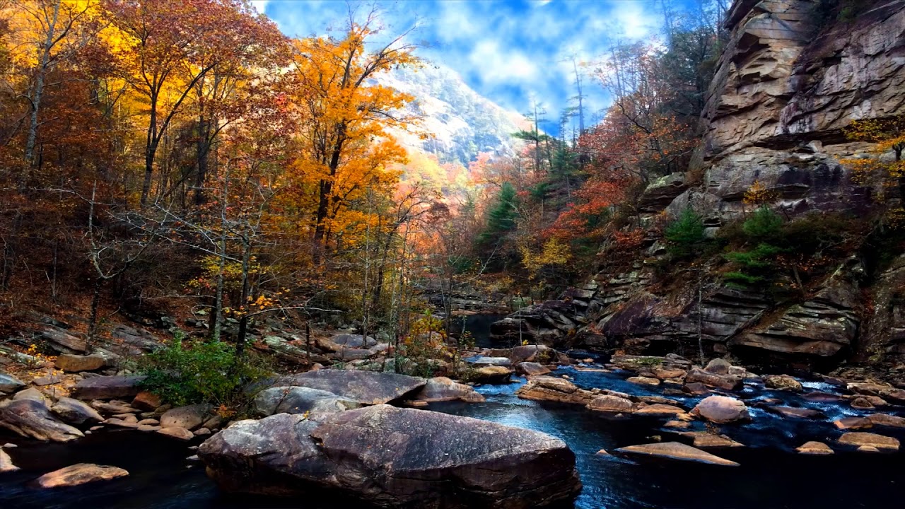 Blue Mountain Stream - YouTube