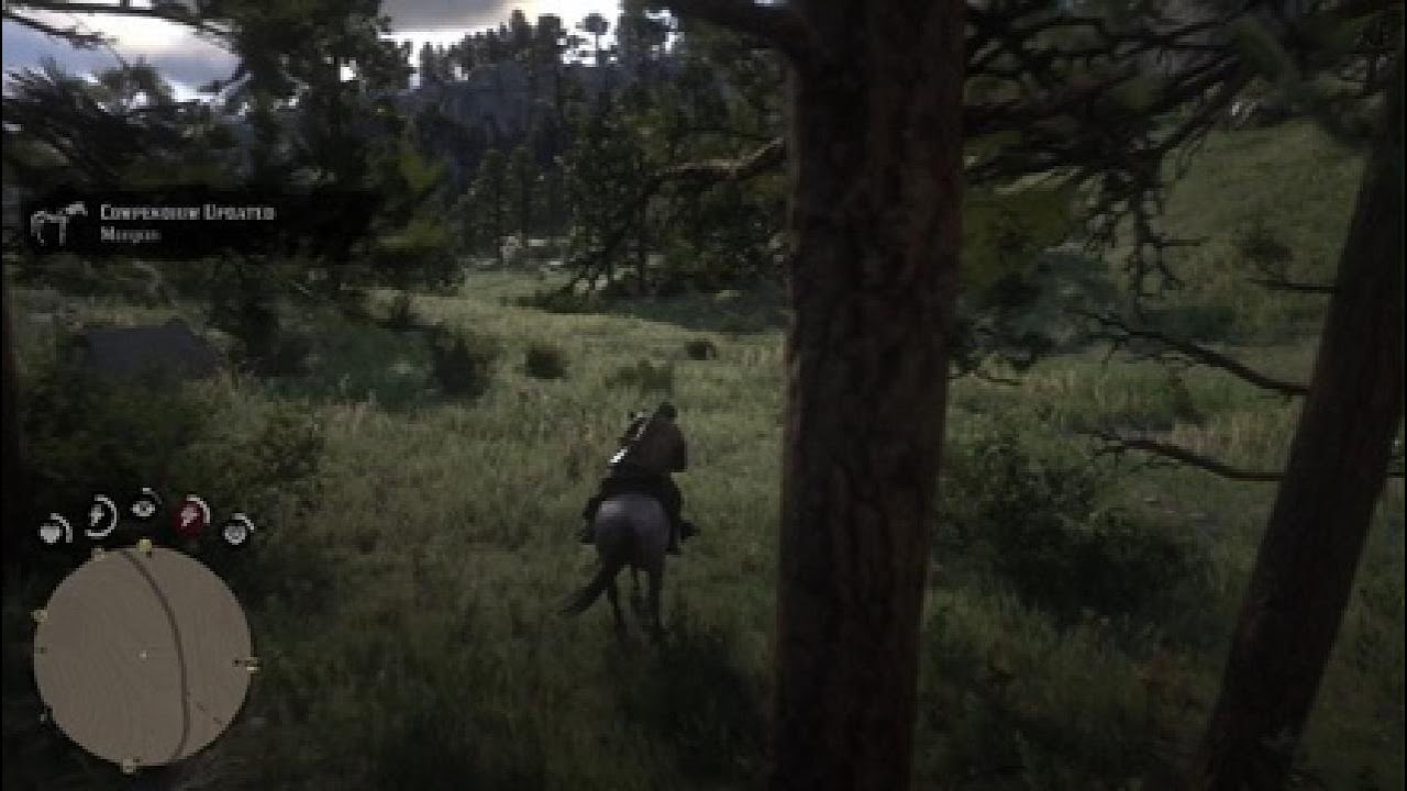 Red Dead Redemption 2 Mountain Lion gives me a hug - YouTube