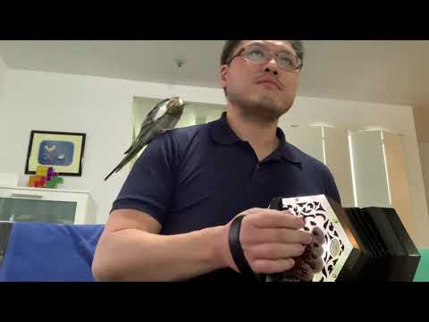 “He’s a Pirate” on concertina - YouTube