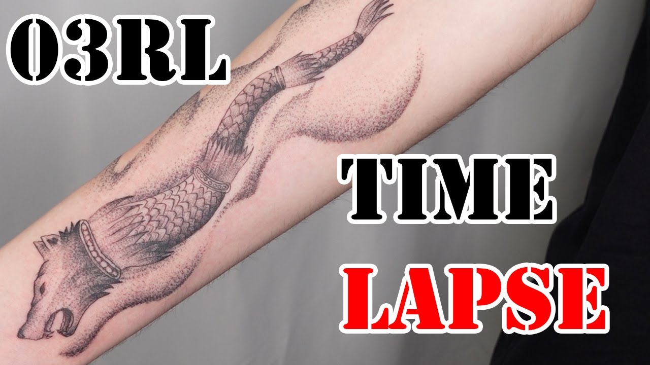 Dacian Wolf Tattoo Cut Out Sticker, Dacian Wolf Draco Bumper Sticker,