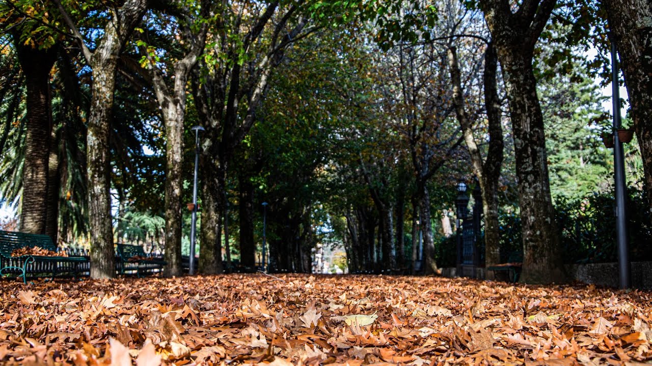 Villa Secolare a Cittanova (RC), Calabria - YouTube