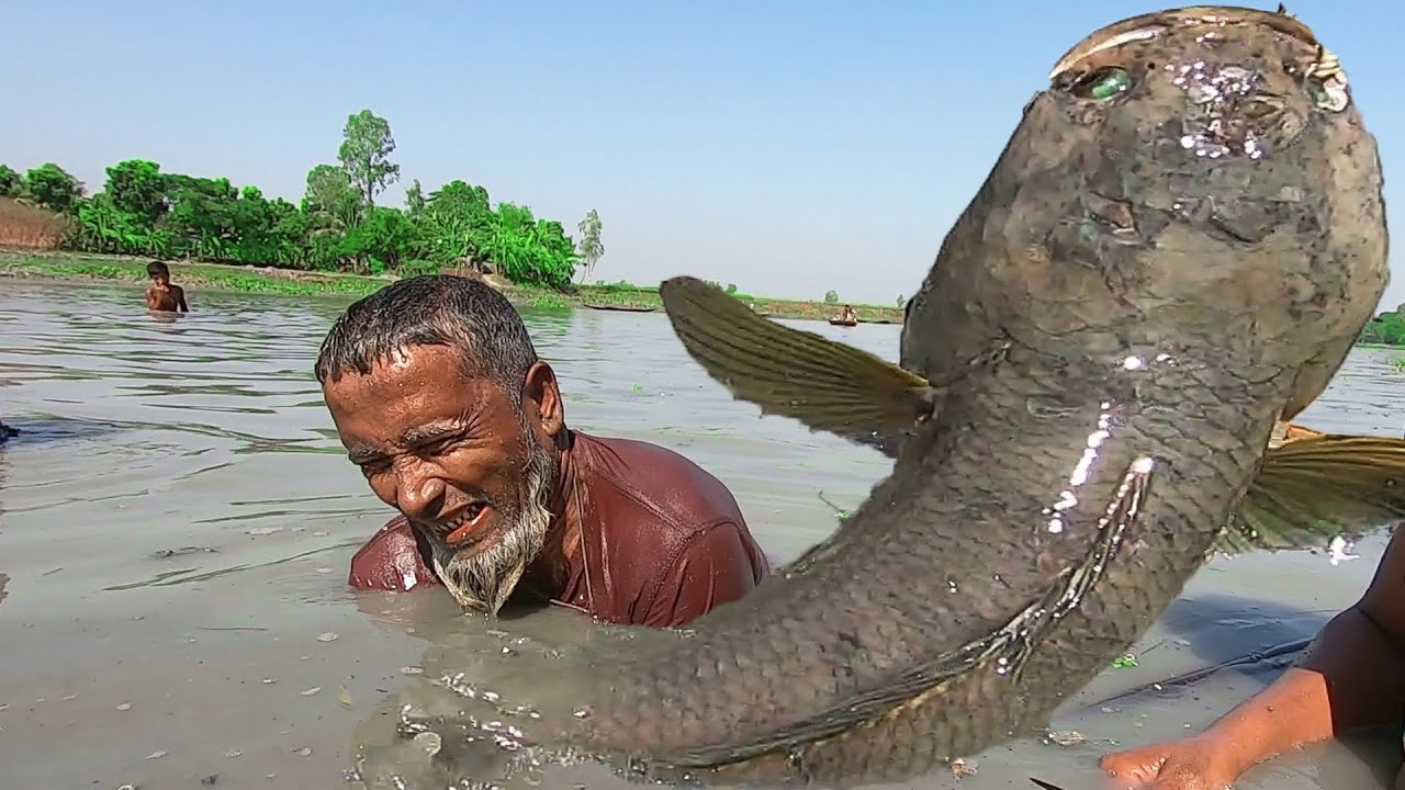 The best fishing in the river | Village old mans best amazing big fish ...