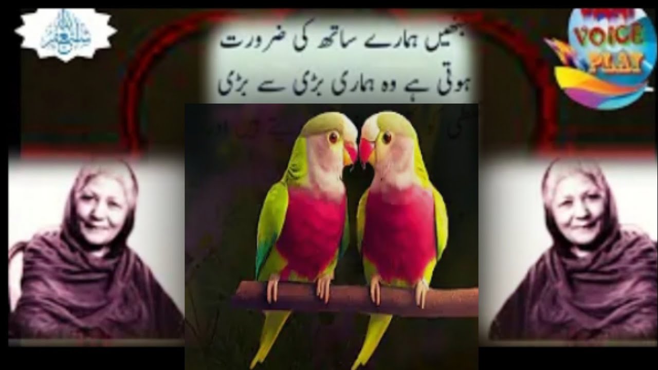 Deep Urdu Quotes | Golden deep words |jami voice play | Islamic quotes ...