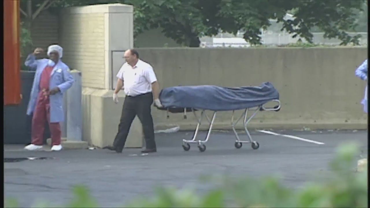 Death toll of Chicago's 1995 heat wave revealed same racial disparities ...