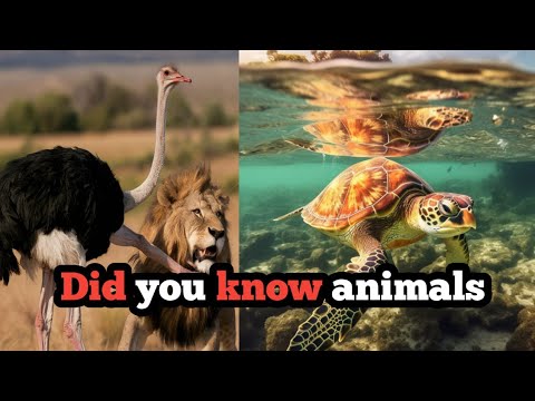 15 Weird Animals Facts That May Surprise You - YouTube