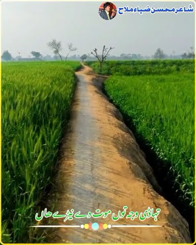 New dohra Singer Mohsin Akhtar saleemi - YouTube