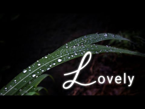 * Silu Silu Pendru Poongatru [ Rain Summer Season ] Status Videos| * D E T I N A T I O N