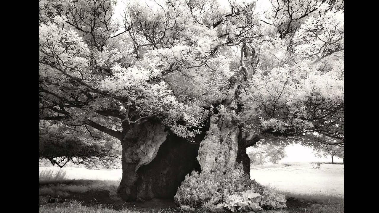 Beth Moon - YouTube
