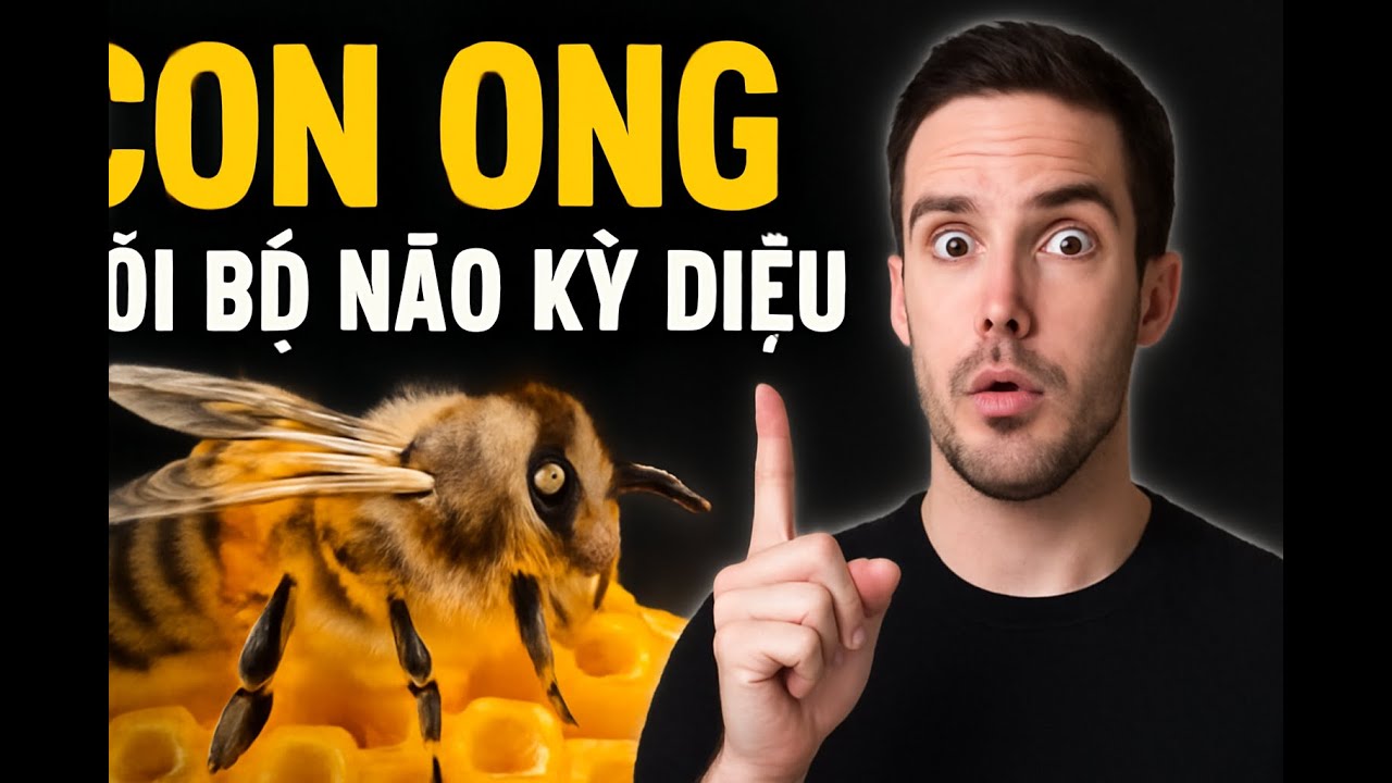 BÀI HỌC XÂY DỰNG HỆ THỐNG TỪ CON ONG - YouTube
