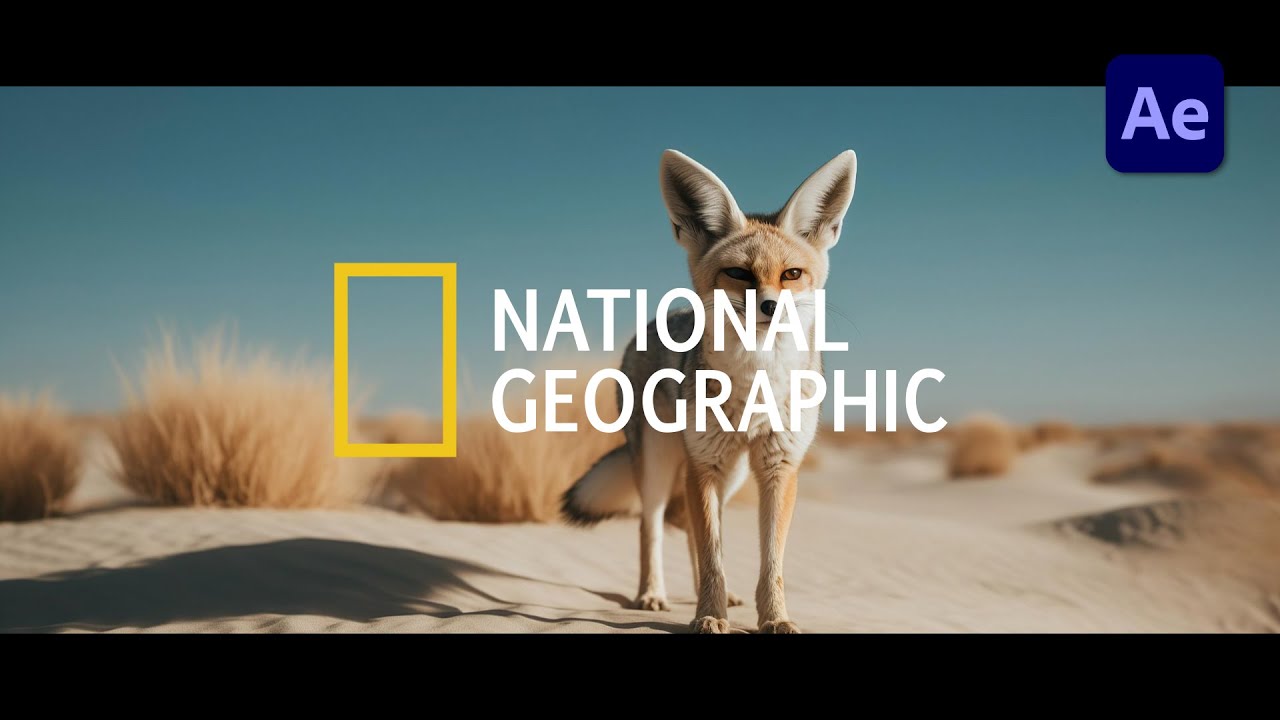 Motion Graphics Title Animations - YouTube