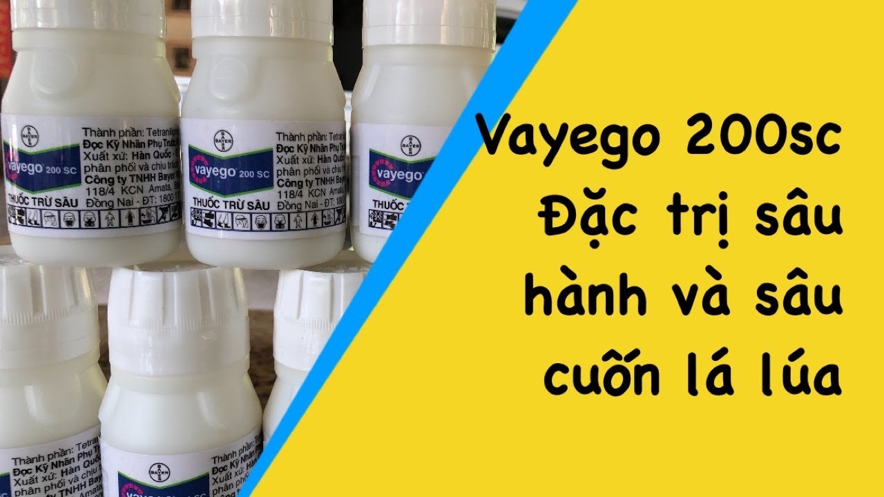 Vayego 200sc đặc trị sâu cuốn lá lúa và sâu trong ống hành. Sản phẩm ...