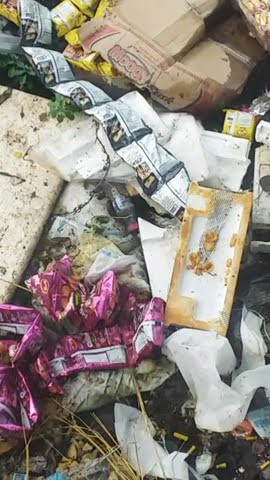 Waste food waste chips #viralvideo - YouTube
