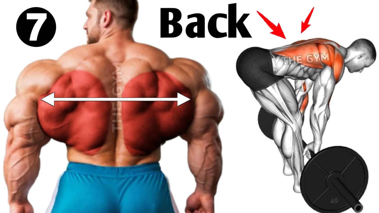 7 Best Back Workouts at Gym to Build a Massive Back Fast - YouTube