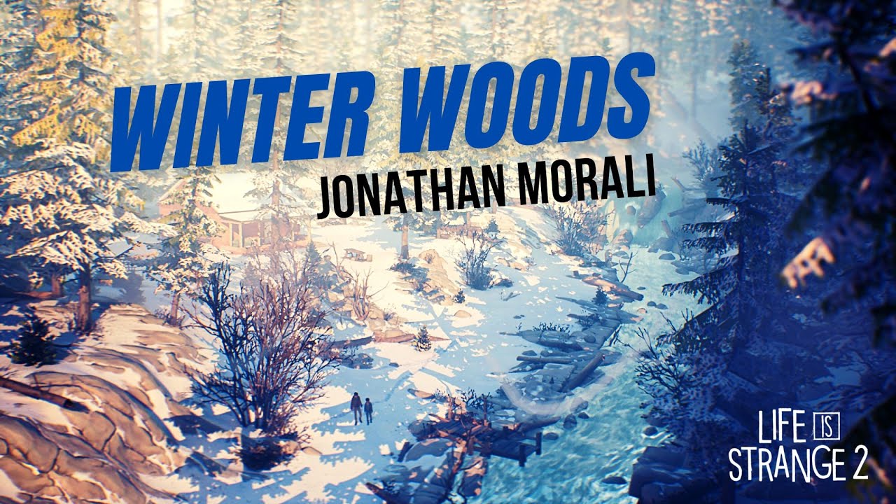 Life is Strange 2 - Winter Woods (Jonathan Morali) HQ Vinyl flac | Videoclip - YouTube