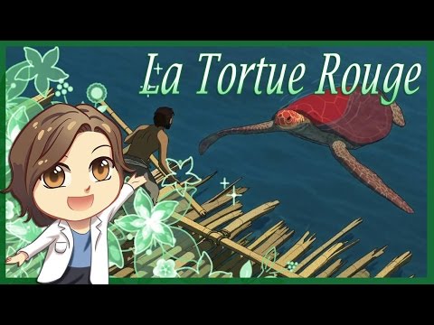 Meu Caminho - La Tortue Rouge