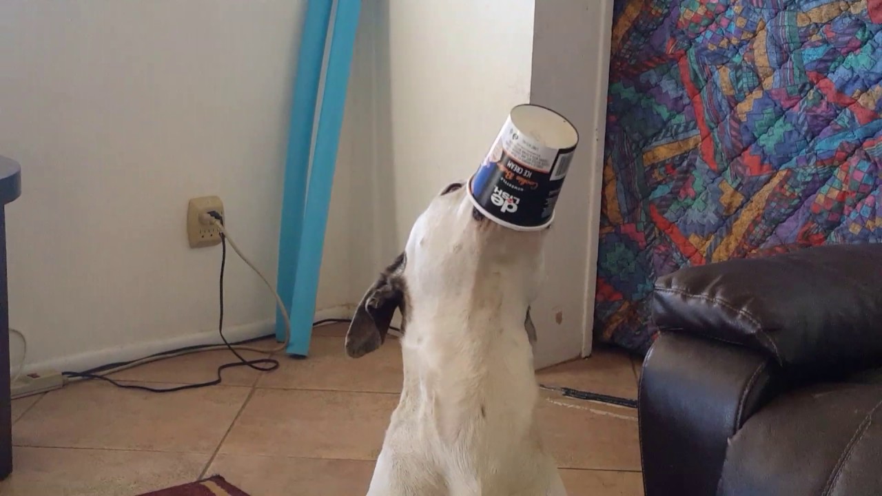 Gotta get the last drop! - YouTube