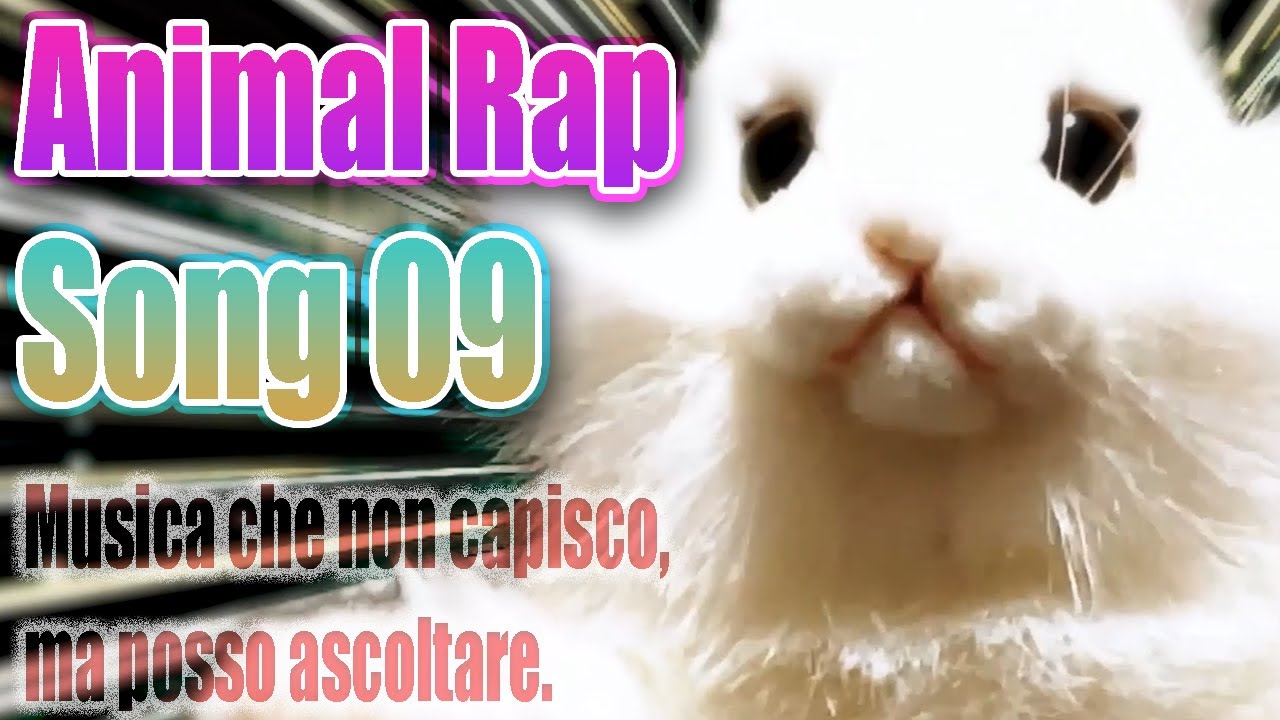 Animal Rap Song09 Versione italiana - YouTube