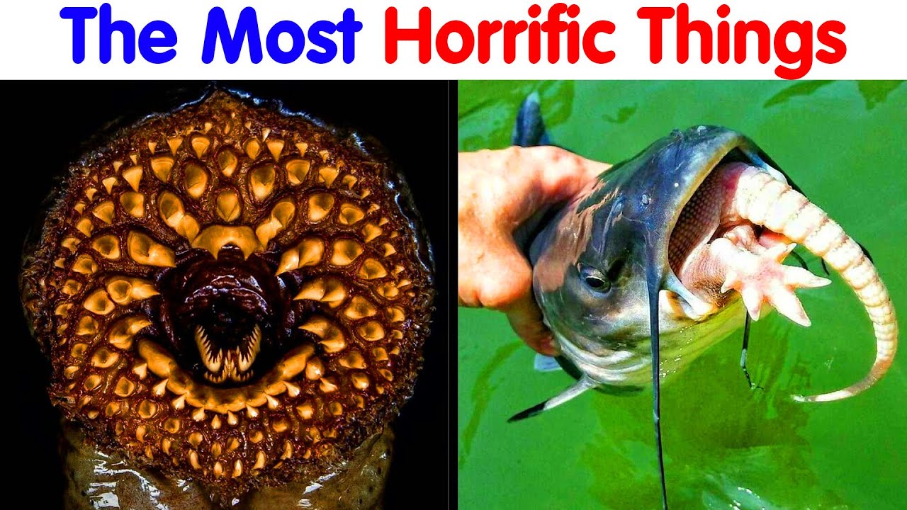 The Most Horrific Things Mother Nature Ever Produced, Took Pics And ...