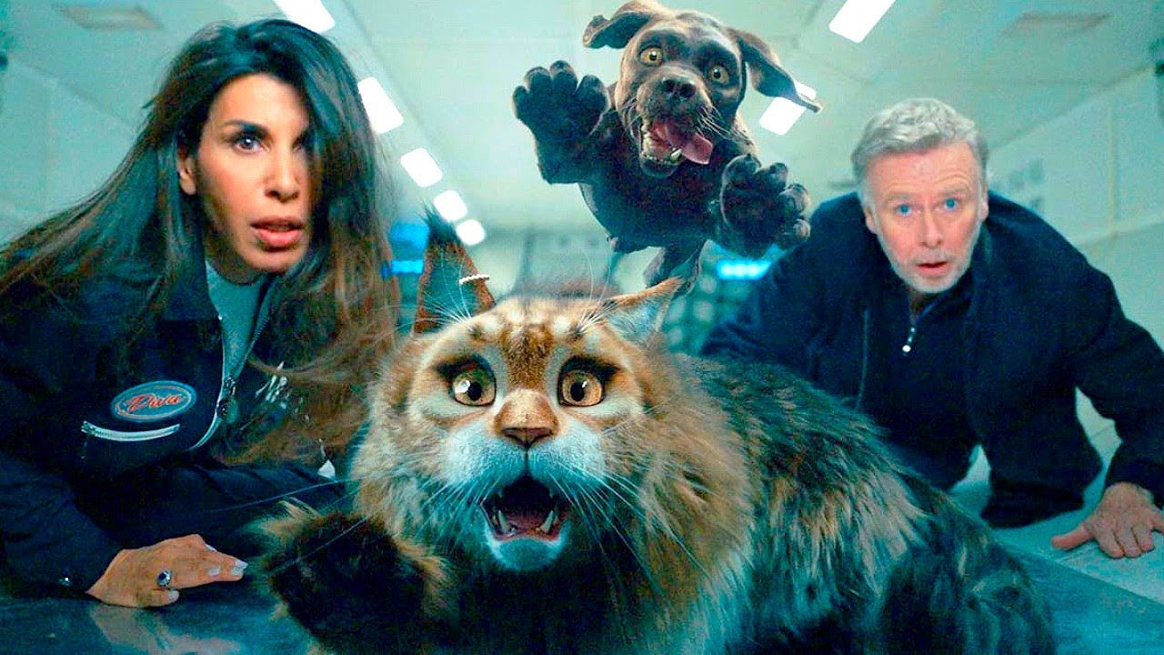 Perro y Gata (Trailer español) - YouTube