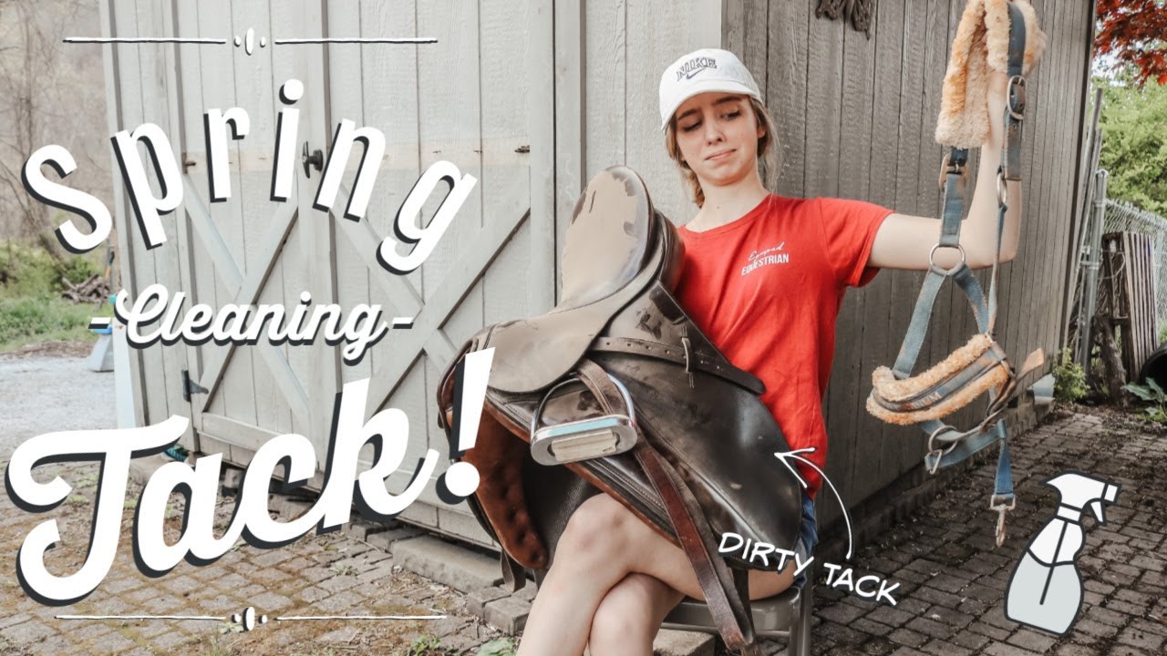 Spring Tack Cleaning! | How to Clean Your Tack - YouTube