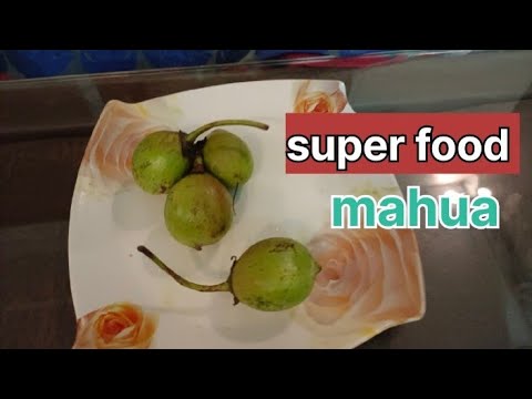 mahua ki recipe | mahua super food - YouTube