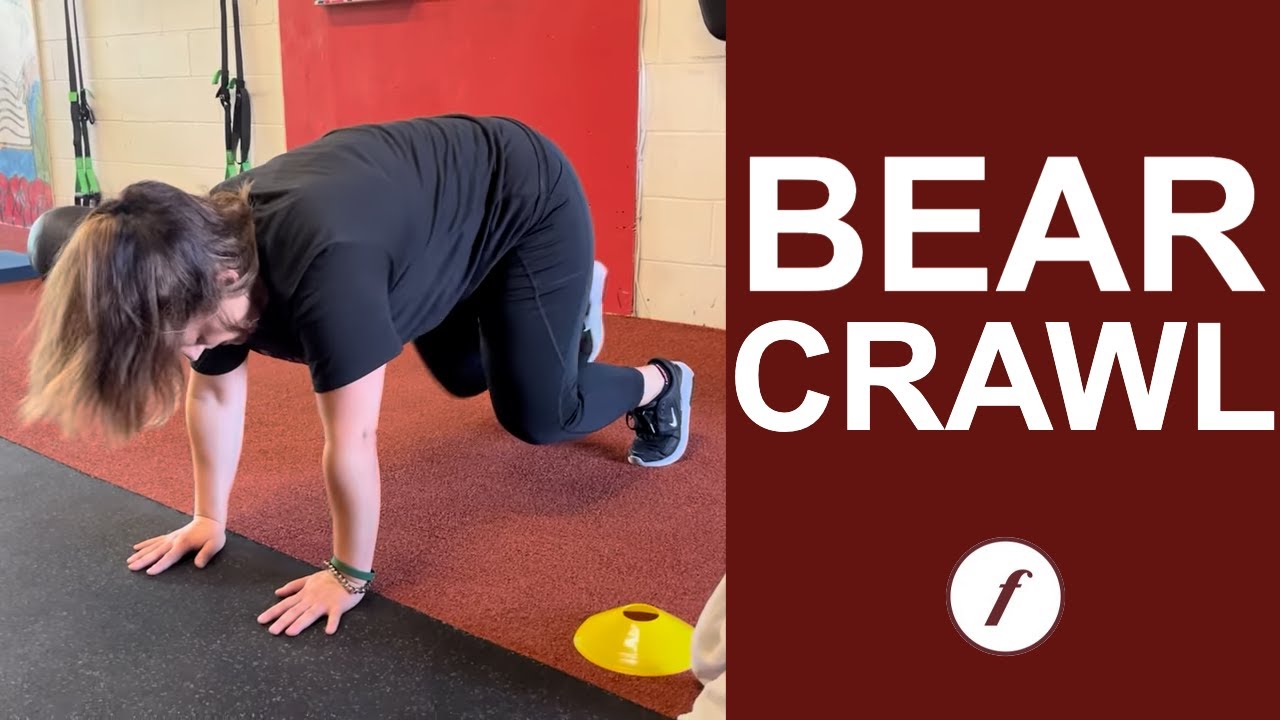 How to do a Bear Crawl Shouder tap to Plank exersise - YouTube