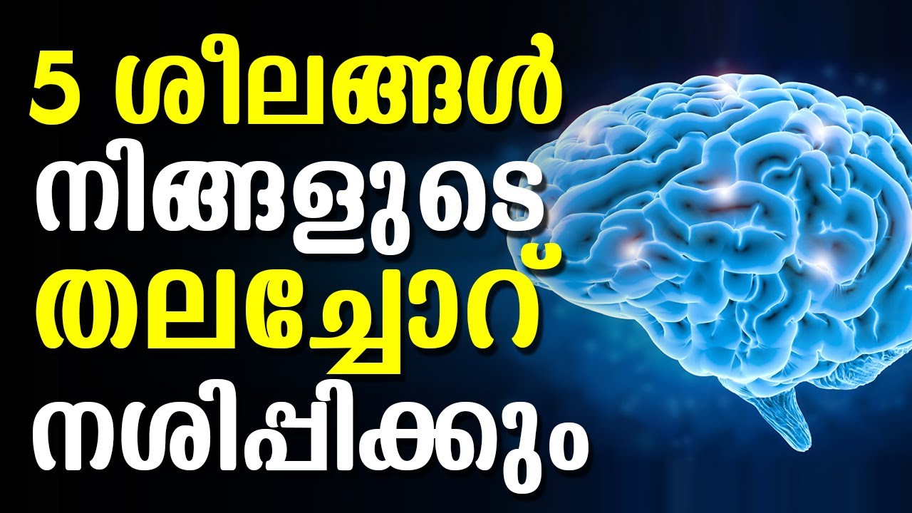 5 Habits That Will Destroy Your Brain How To Increase Brain Capacity 5-habits-that-will-destroy-your-brain-how-to-increase-brain-capacity