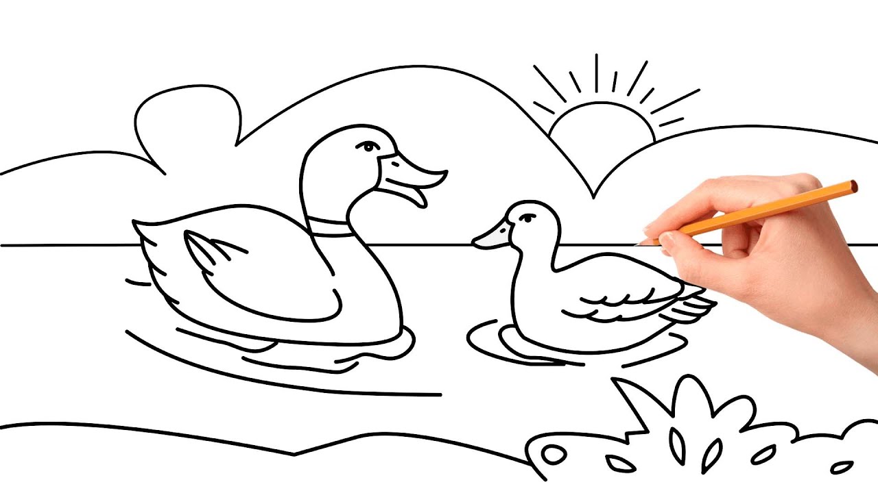 Duck Scenery Drawing | Easy Scenery Drawing of Two Ducks in the River ...