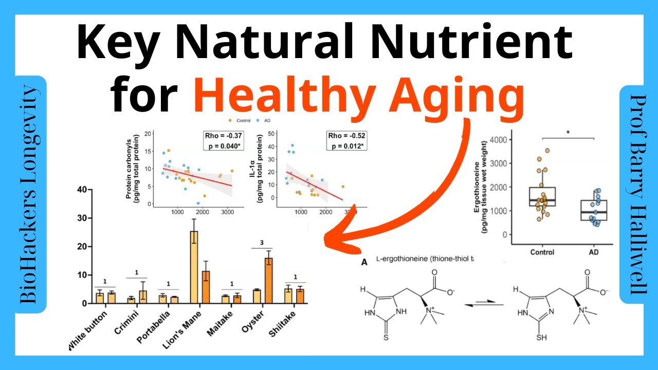 key natural nutrient for healthy ageing/ Prof Barry Halliwell - YouTube